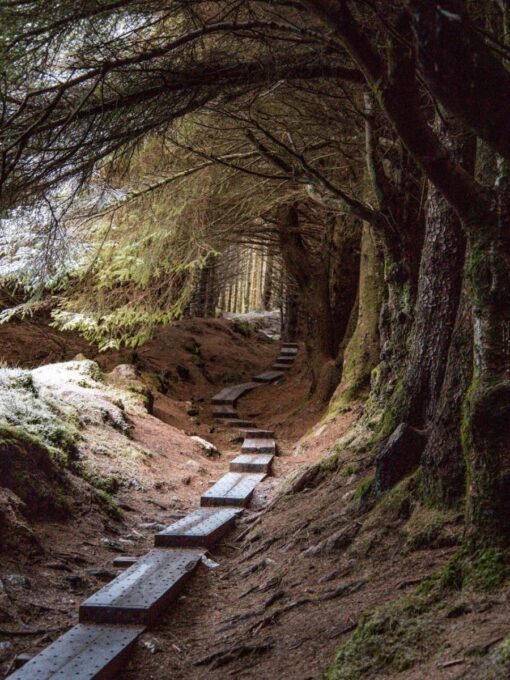 Walks in Wicklow: 15+ Beautiful Wicklow Hikes you Need to Try!